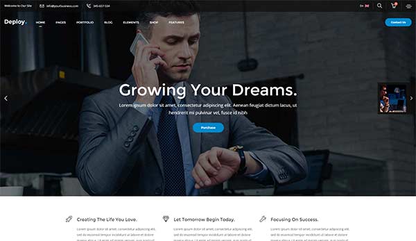 Professional Home - Biomer